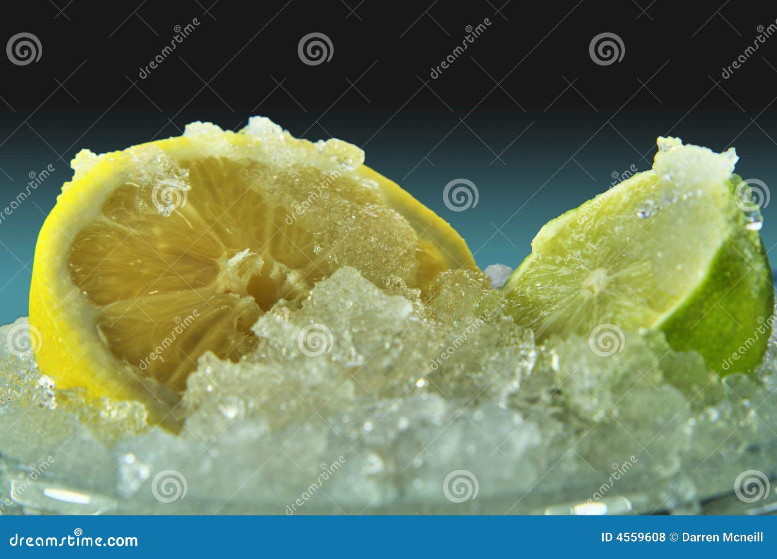 Lemon and Lime on Ice stock photo. Image of cubes, translucent - 4559608