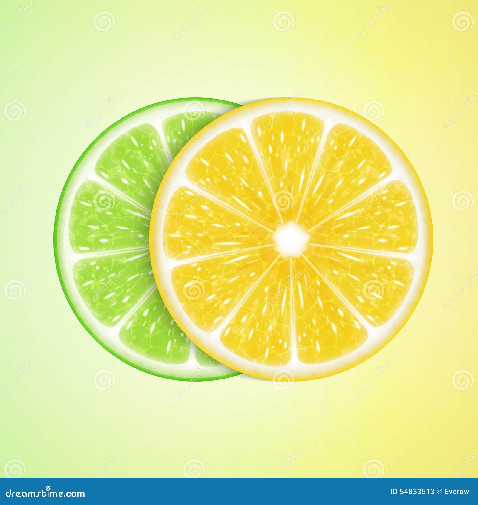 Lemon And Lime And Their Parts Isolated Hand Drawn Monochrome Vector ...