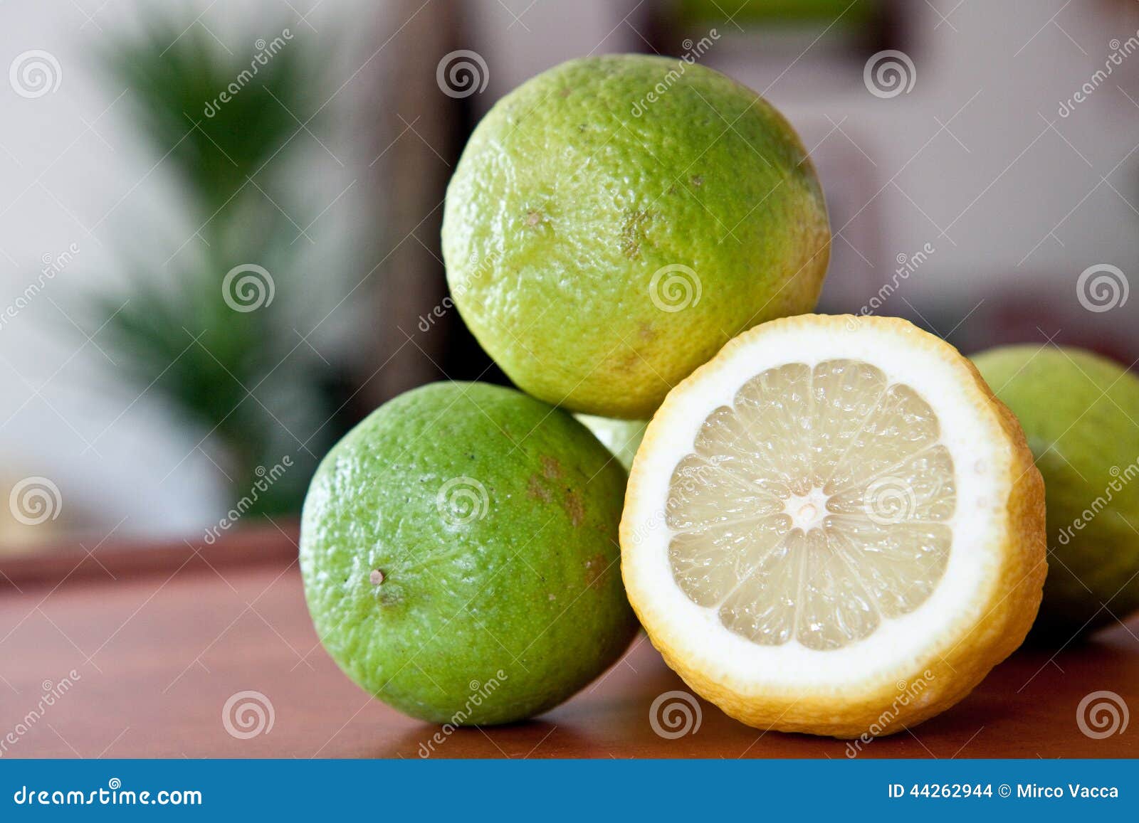 Lemon and limes stock photo. Image of citrus, green, nature - 44262944