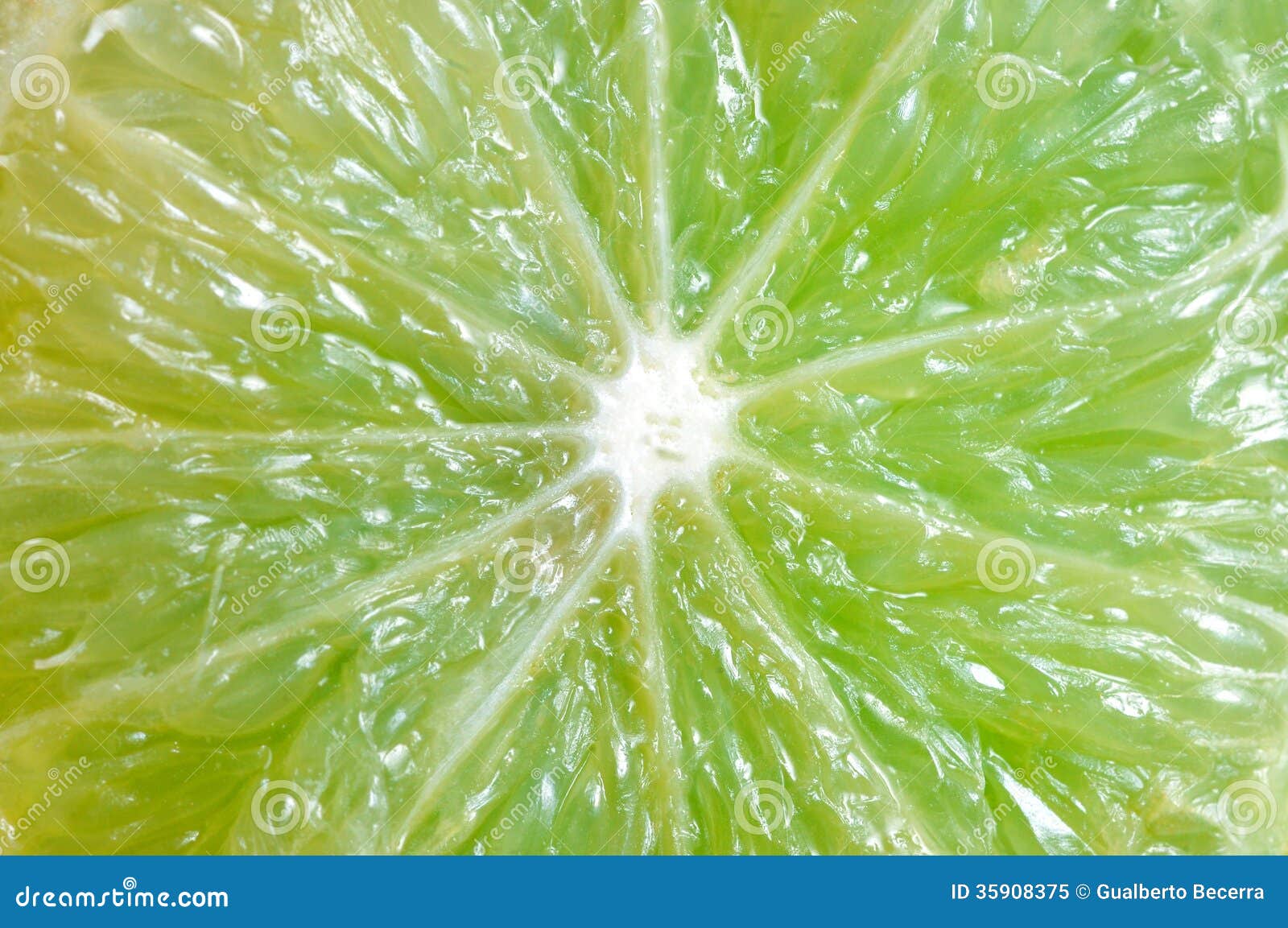 Lemon Macro stock image. Image of macro, middle, center - 35908375