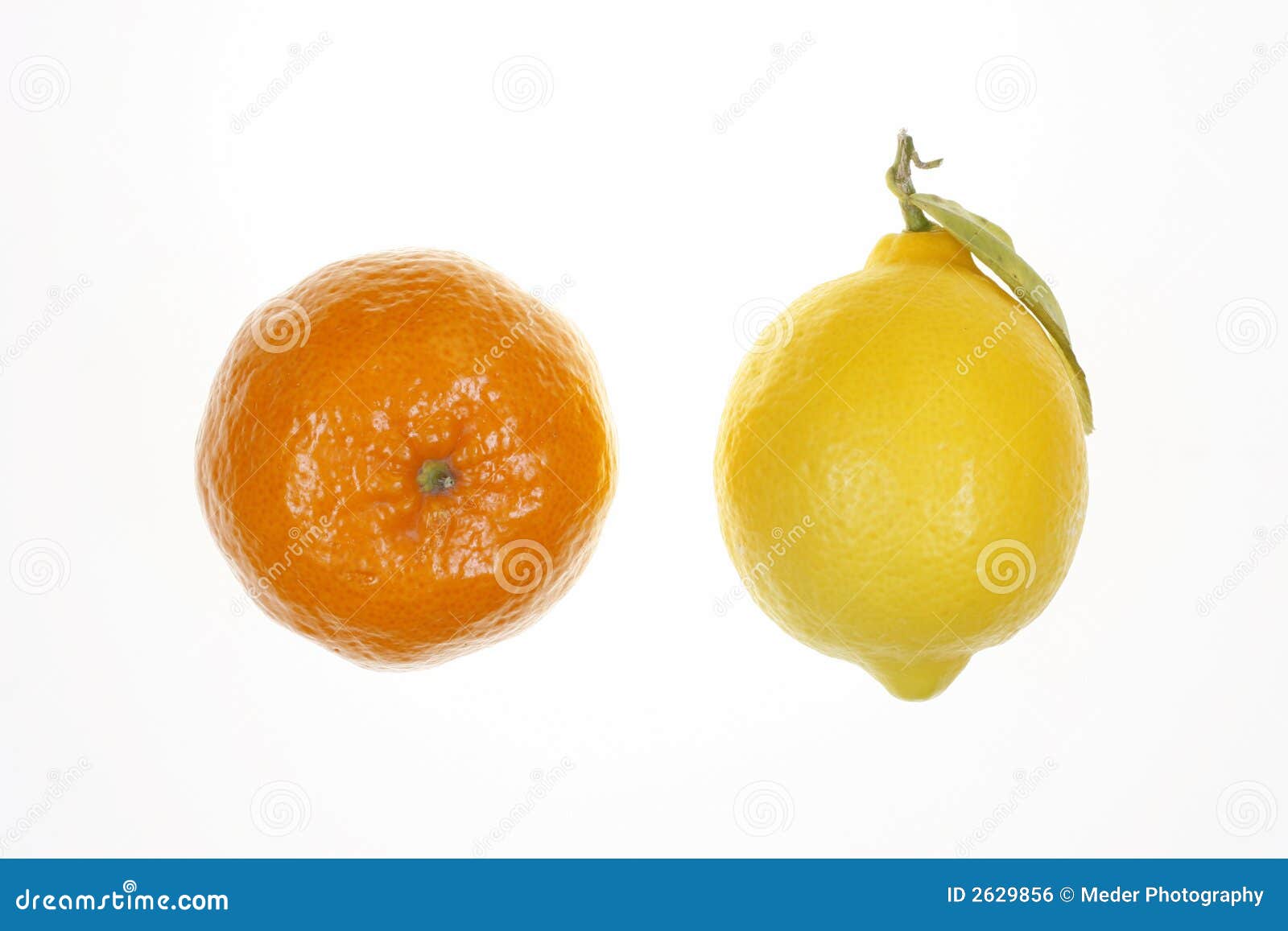 Lemon and Mandarin stock photo. Image of isolated, fruit - 2629856