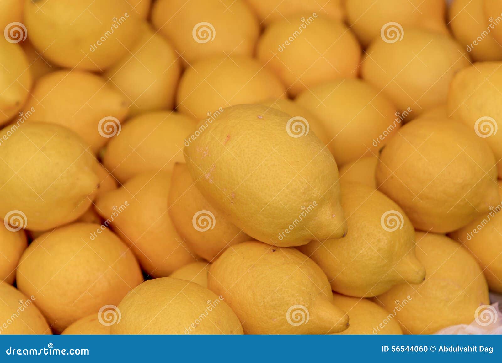 Lemon in market stock photo. Image of food, lemons, citrus - 56544060