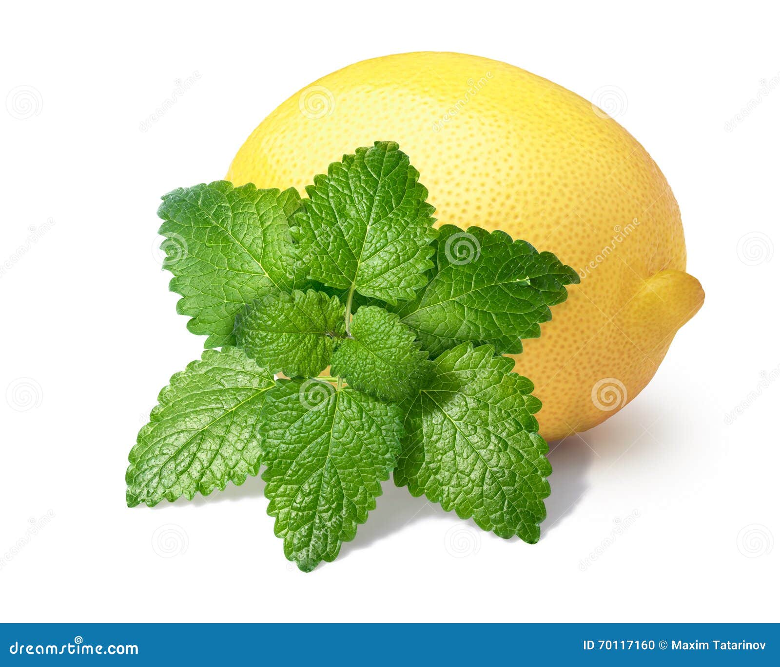 Lemon with Mint Balm Isolated Stock Photo - Image of white, balm: 70117160