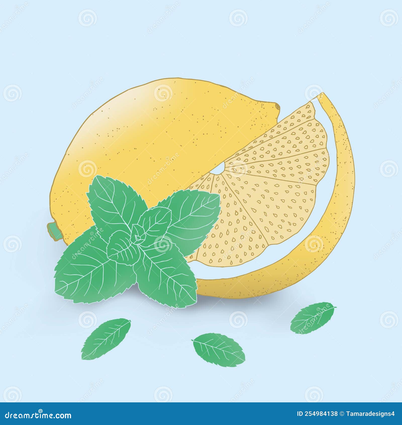 Lemon and Mint Leaves Illustration Stock Vector - Illustration of leaf ...