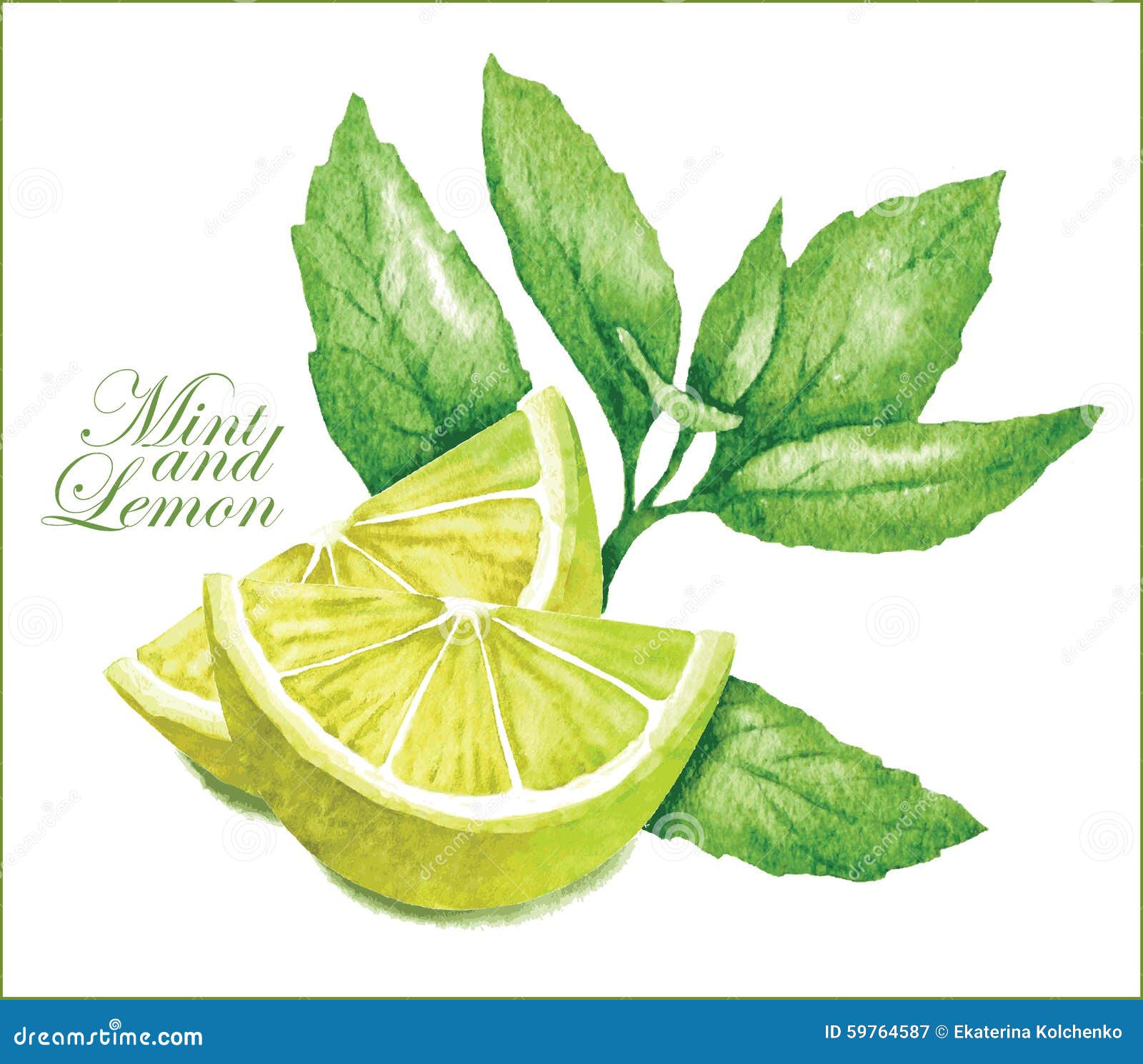 Lemon and mint sketches. stock vector. Illustration of macro - 59764587