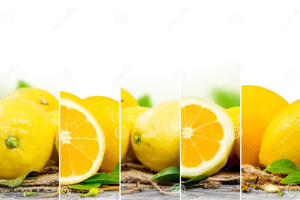 Lemon mix stock photo. Image of healthy, fresh, grow - 54428680