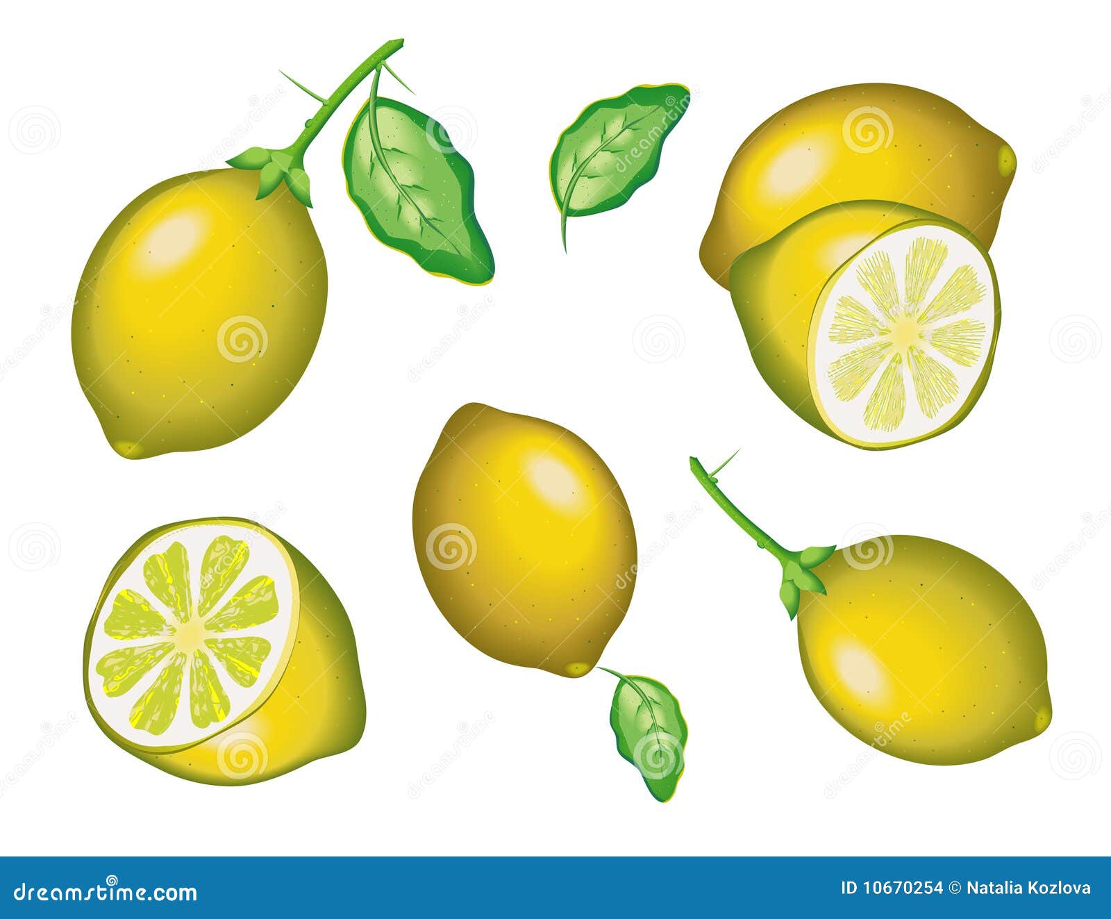 Lemon, model with EPS file stock vector. Illustration of kitchen - 10670254