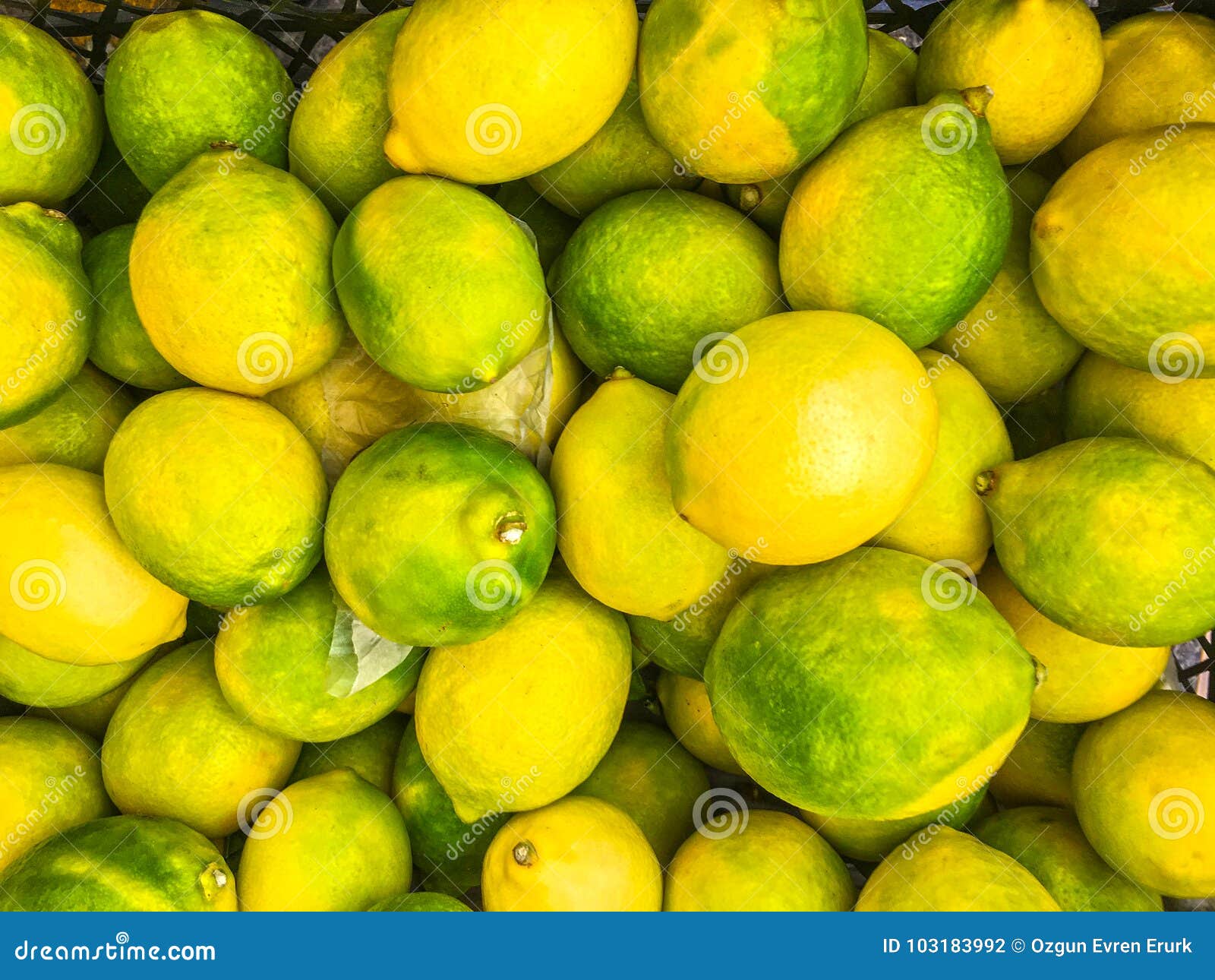Lemon background isolate stock photo. Image of color - 103183992