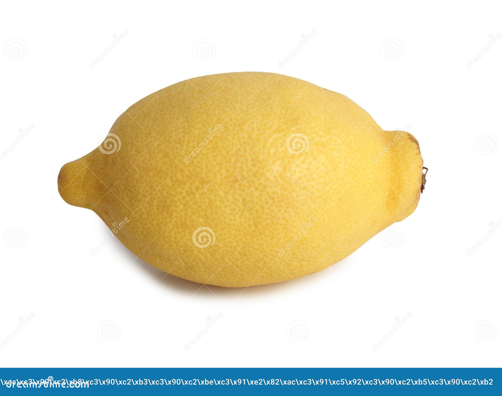 Lemon one stock photo. Image of pile, peel, healthy - 151635380