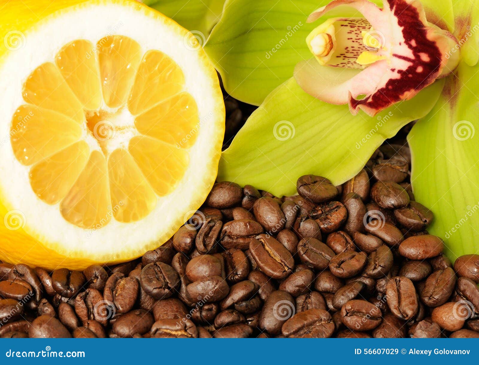 Lemon Orchid and Coffee Beans Stock Image - Image of green, pleasure ...