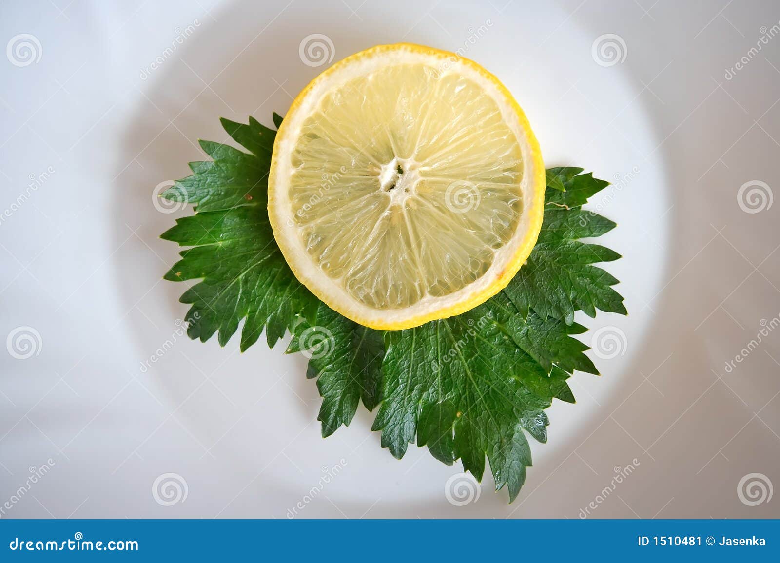 Lemon and parsley stock image. Image of vegetable, fruit - 1510481