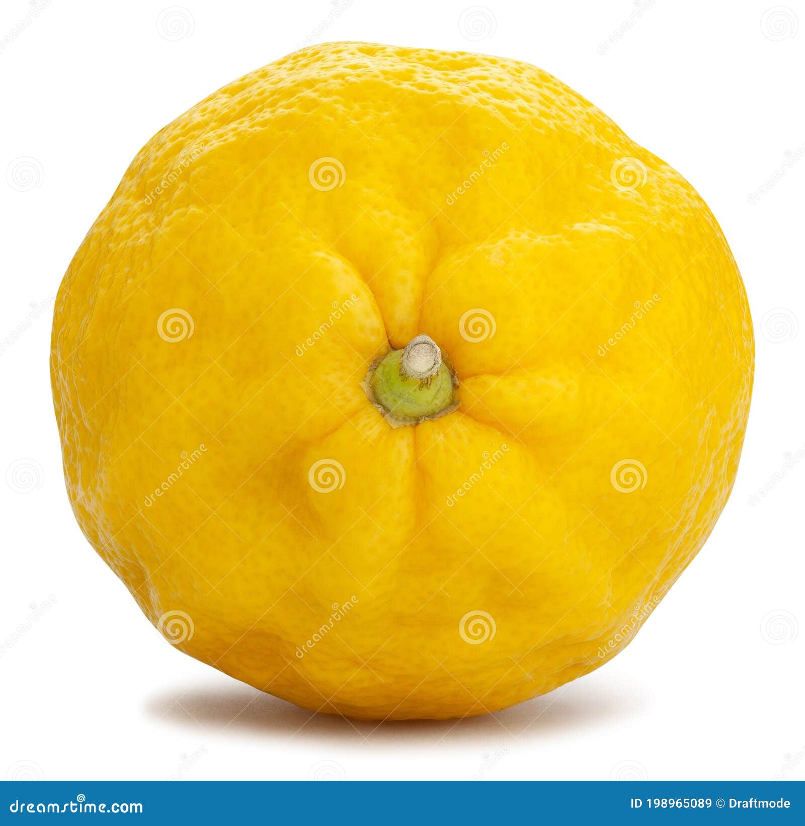Lemon stock image. Image of citrus, tropical, fruit - 198965089