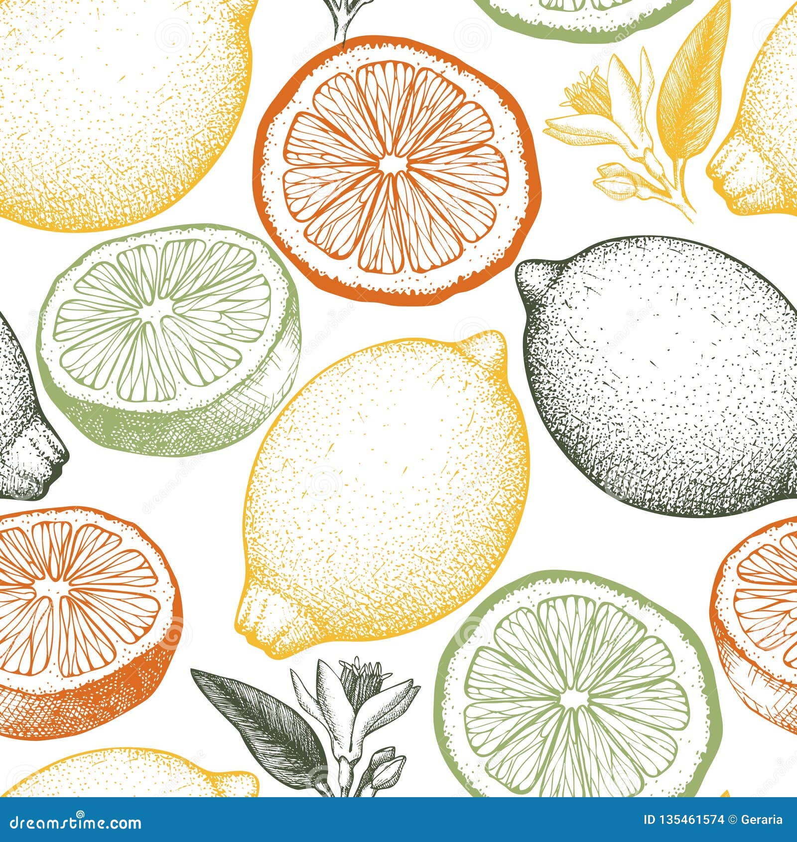 Citrus Seamless Pattern. Lemon Background. Vector Fruit Illustration ...