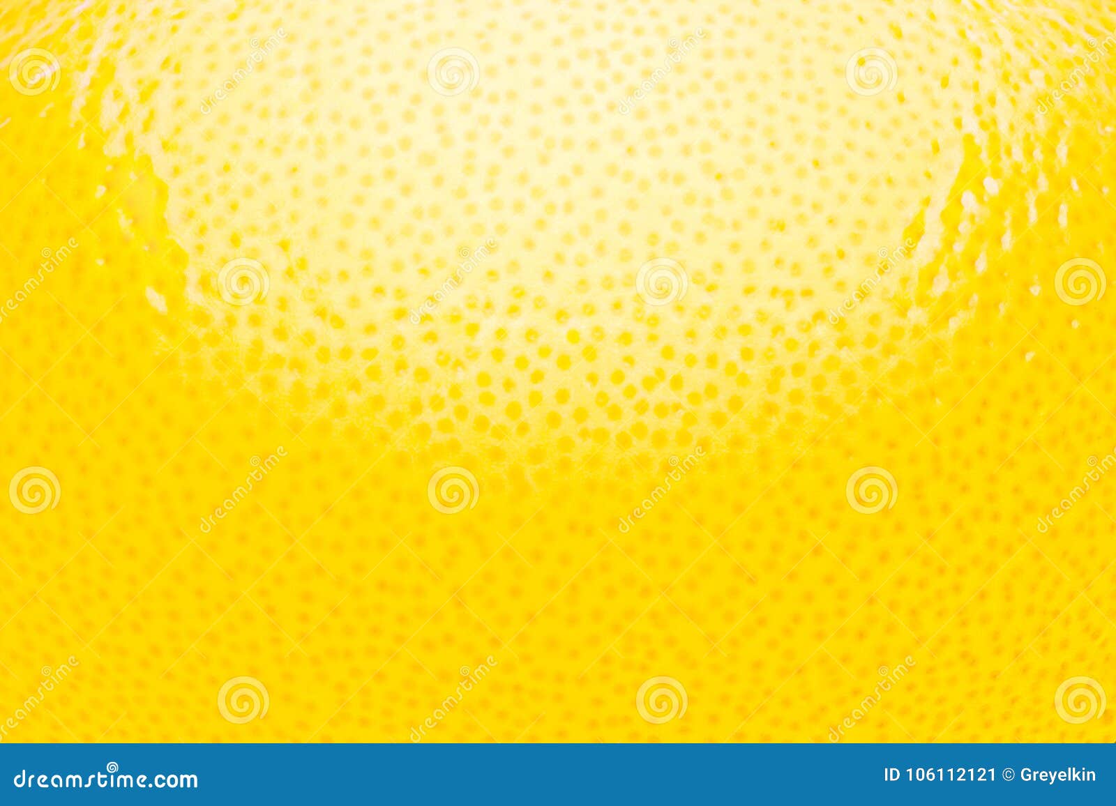 Lemon Peel. Set Of Pieces Yellow Citrus Peel Isolated On White ...