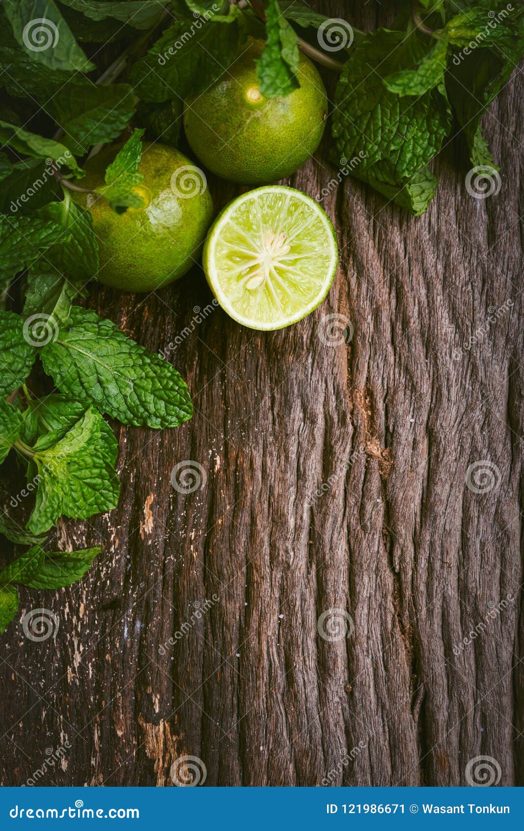 Lemon with peppermint stock image. Image of green, natural - 121986671