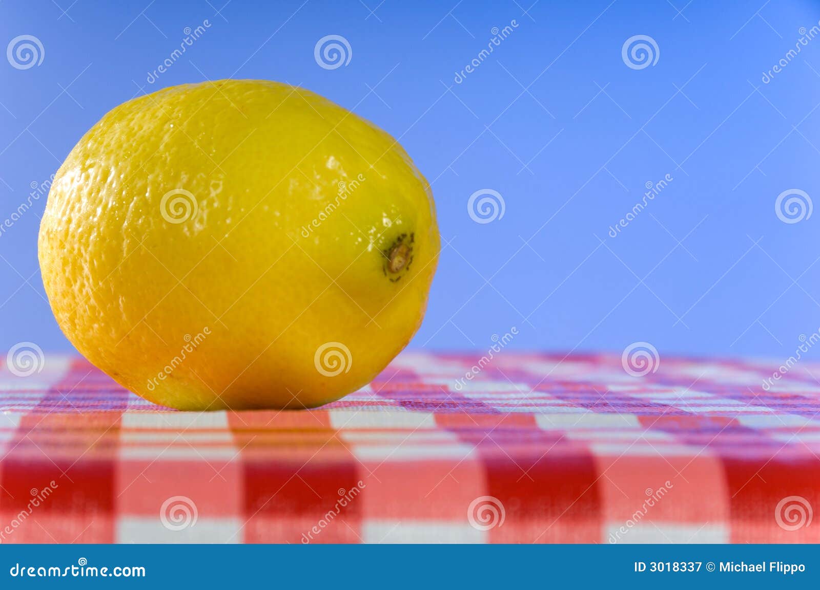 Lemon At Picnic Picture. Image: 3018337
