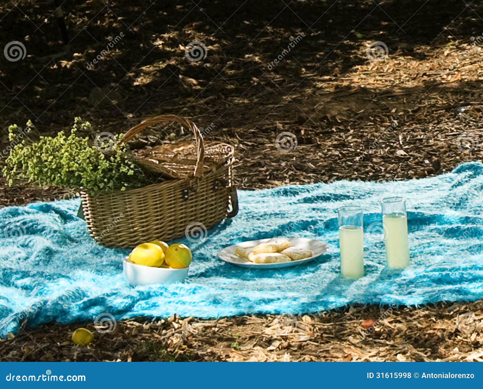 Lemon Picnic stock photo. Image of snack, blue, food - 31615998