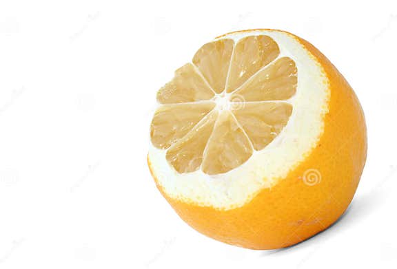 Lemon profile stock photo. Image of fruits, isolated, acid - 526080