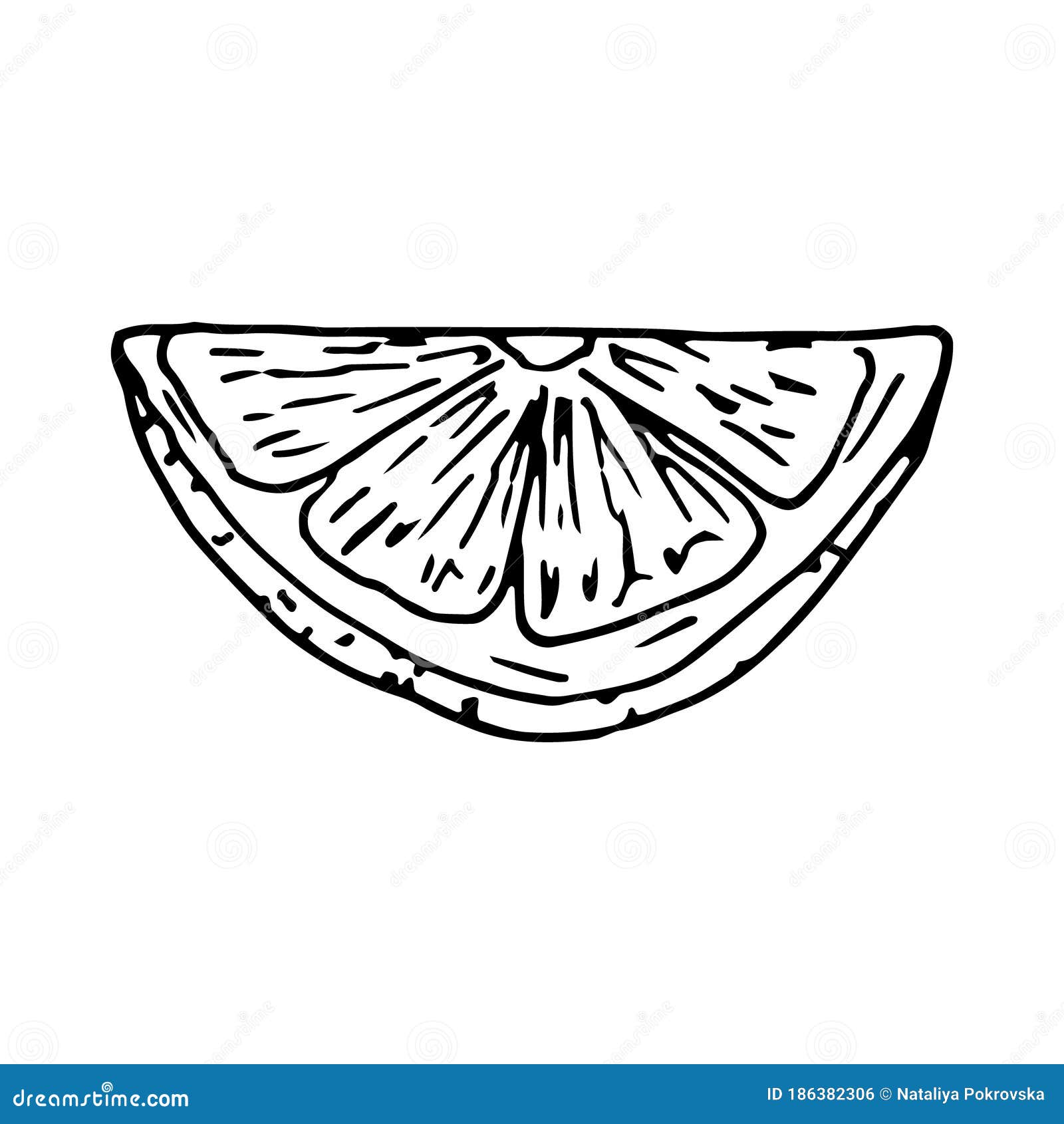 Lemon Quarter Slice Isolated On White Background. Hand Drawn Vector ... Lemon Quarter Slice Isolated On White Background. Hand Drawn Vector ...