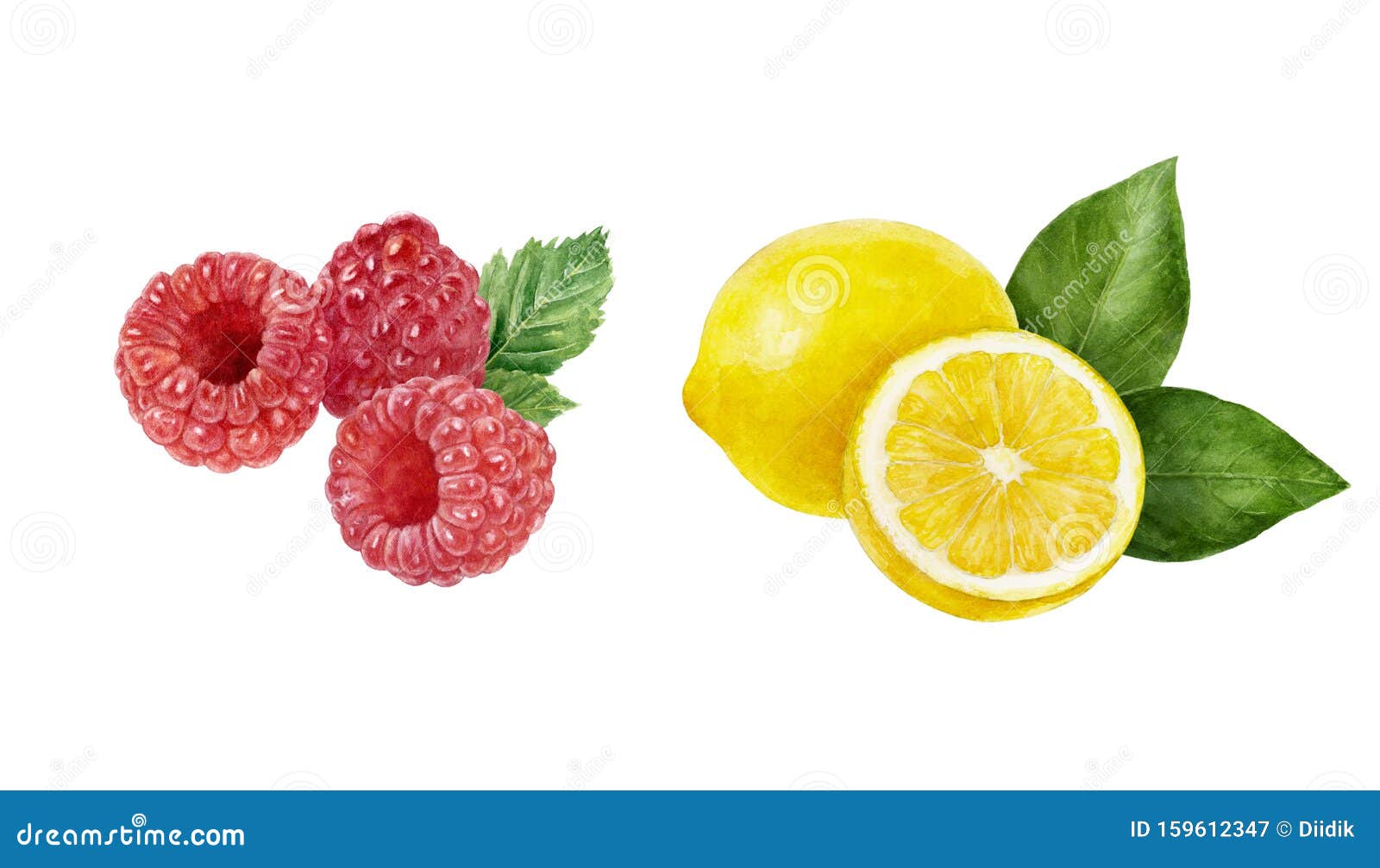 Lemon Raspberry Set Fruit Watercolor Isolated on White Background Stock ...