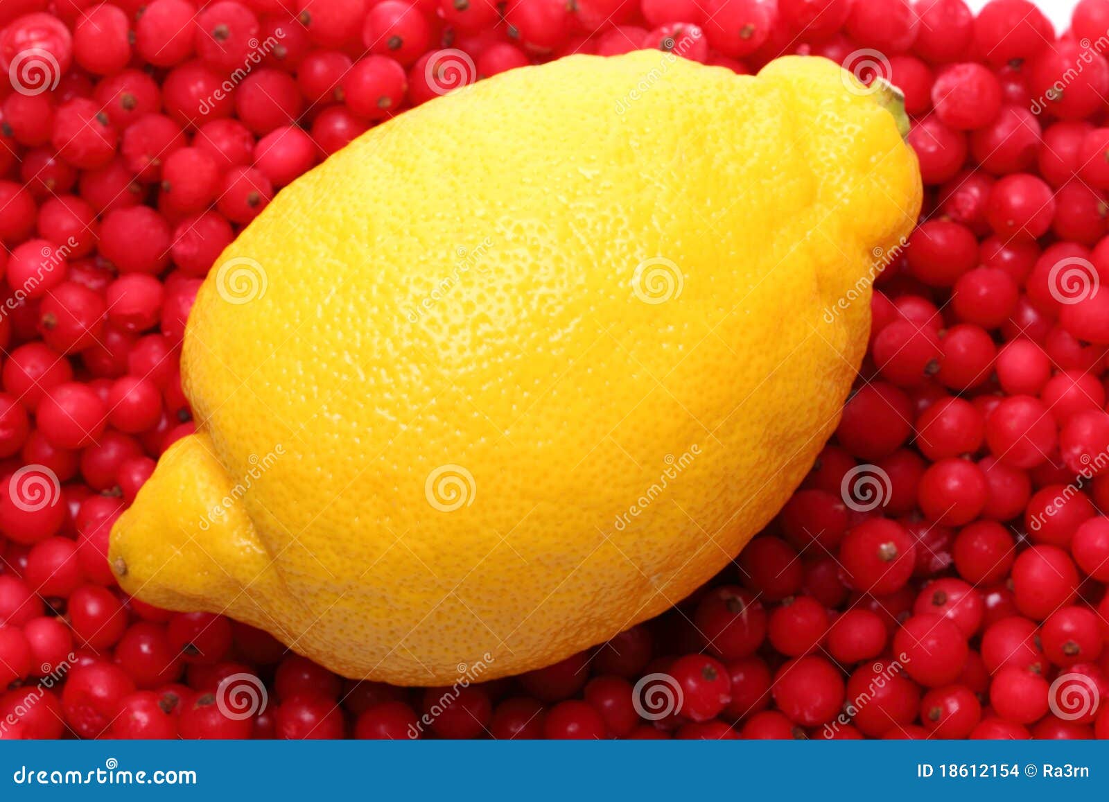 Lemon on the red currants stock photo. Image of fresh - 18612154