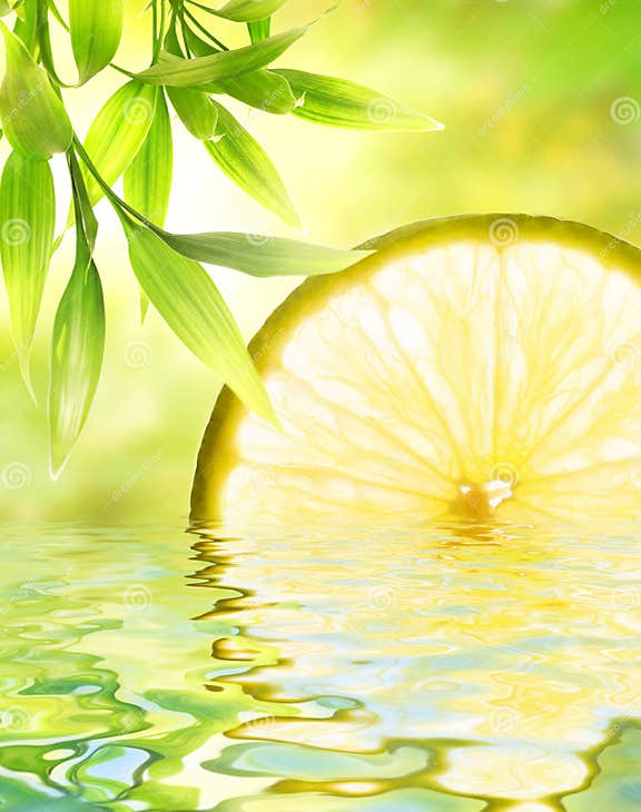 Lemon reflected in water stock photo. Image of closeup - 7233592