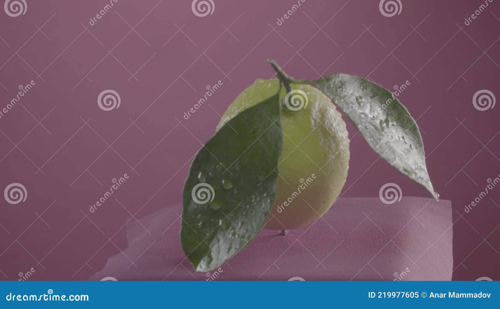 Lemon Rotating with Loop on Fuchsia Screen for Chroma Key Stock Video ...