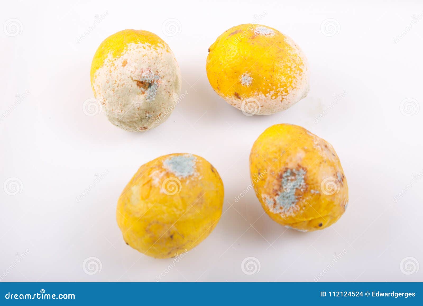 Lemon is rotten stock photo. Image of organic, white - 112124524
