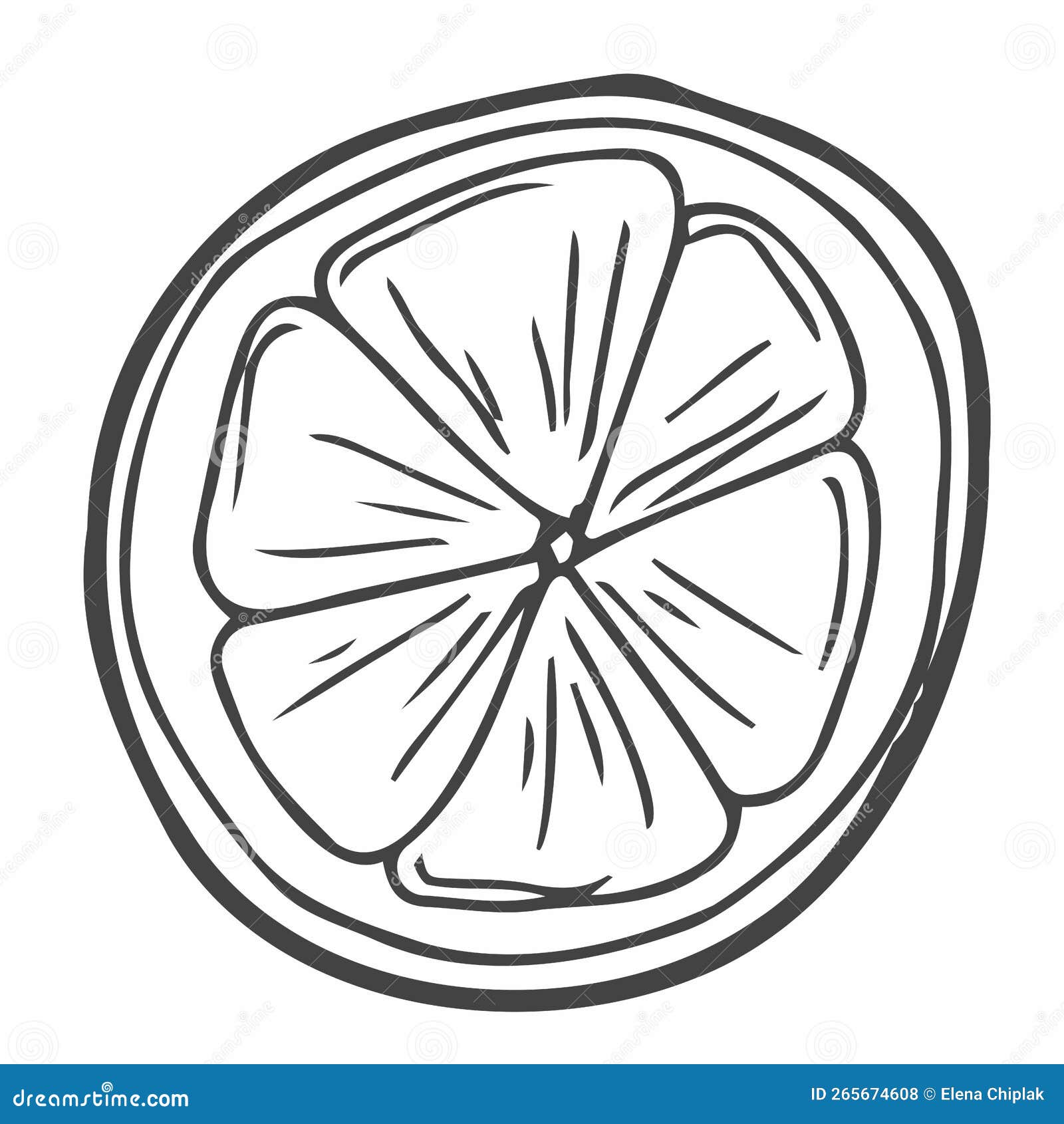 Lemon Round Slice Line Icon Vector Illustration. Hand Drawn Outline One ...