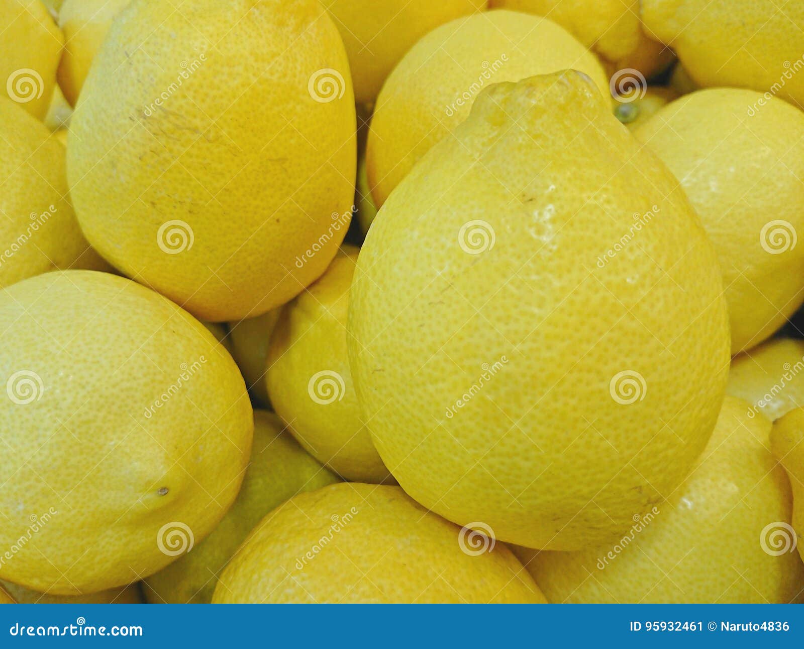 Lemon for sale stock image. Image of grow, detail, group - 95932461