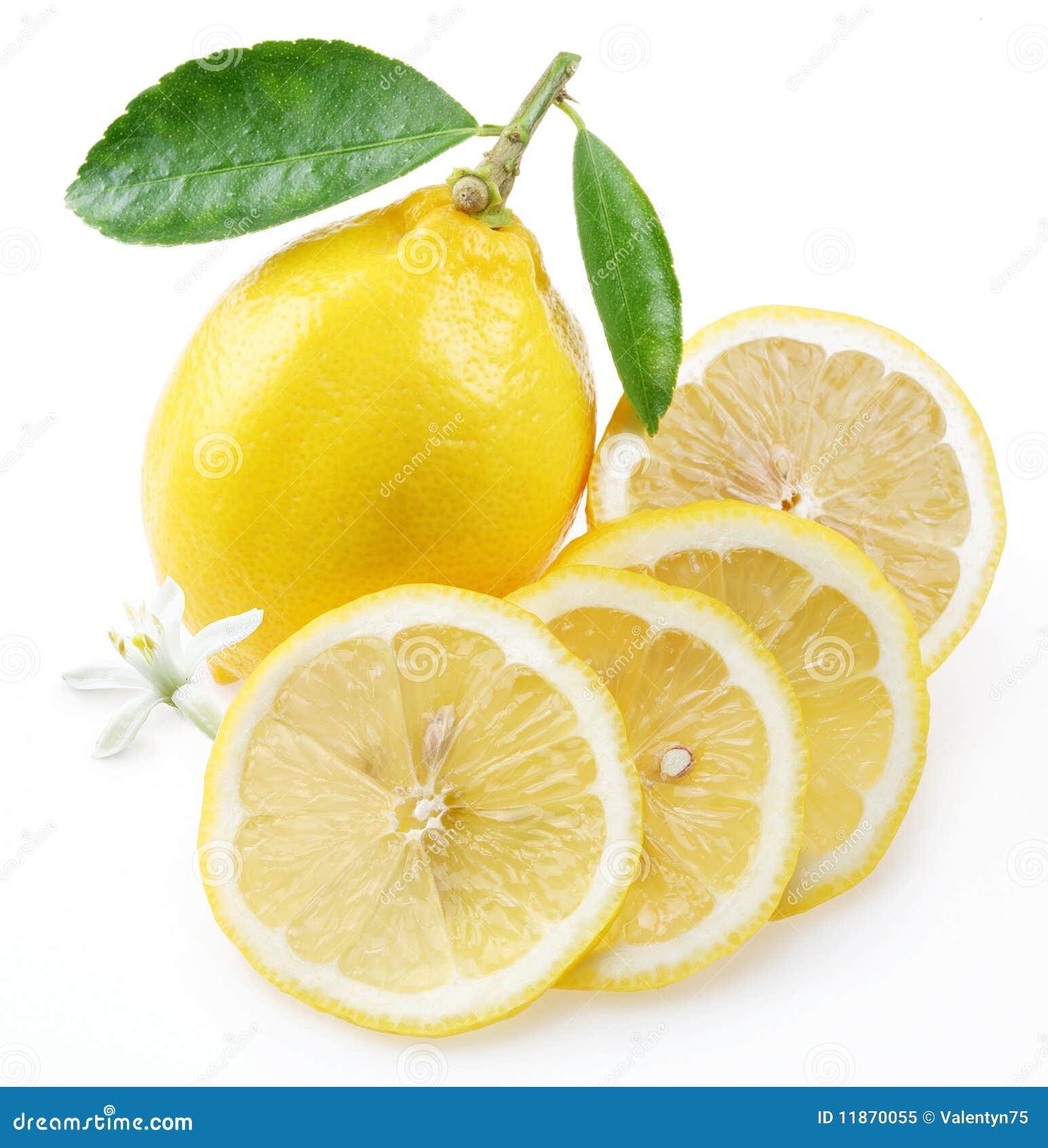 31,592 Lemon Section Stock Photos - Free & Royalty-Free Stock Photos ...