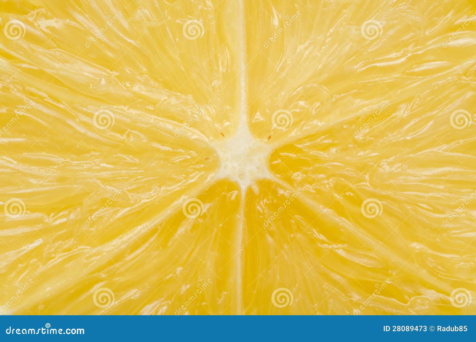 Lemon Section stock image. Image of diet, health, citrus - 28089473