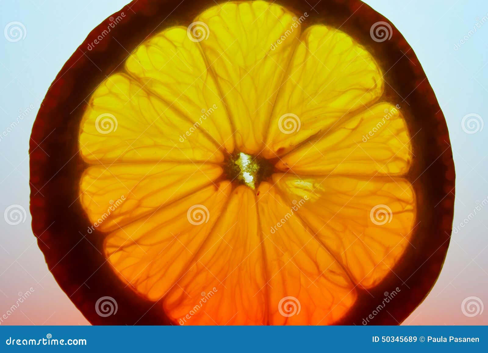 Lemon stock image. Image of silhouette, segment, zest - 50345689