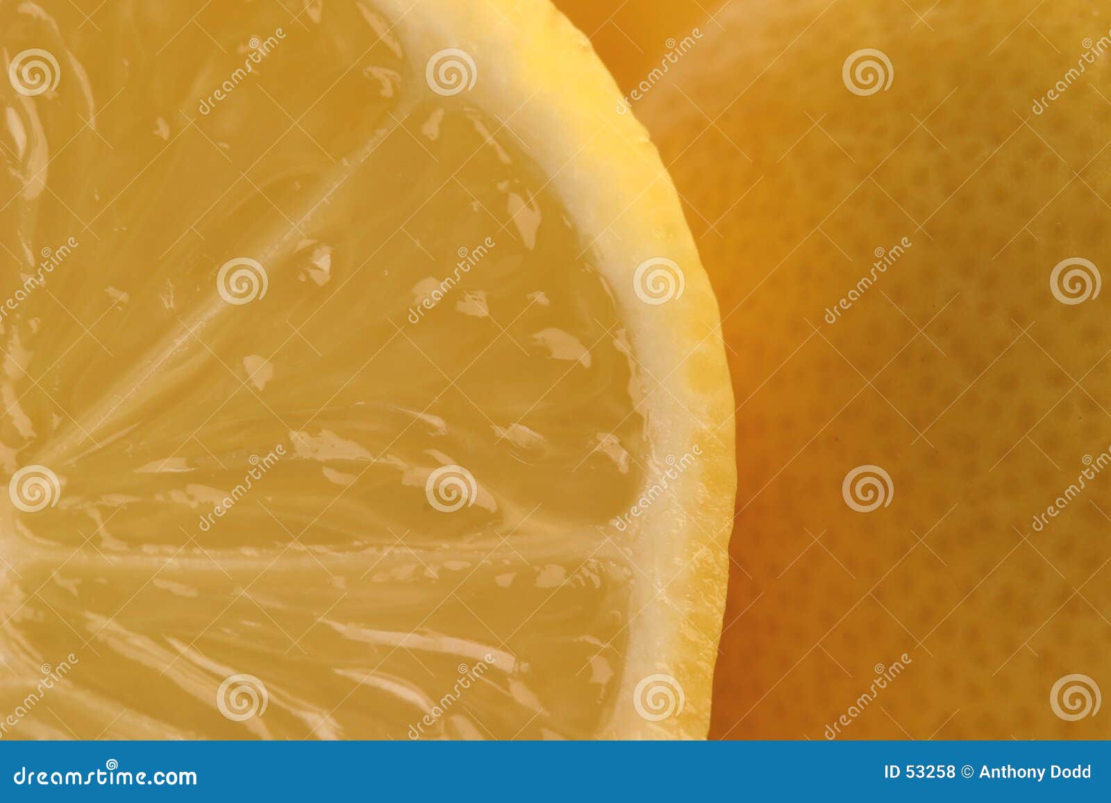 Lemon Segments stock photo. Image of aromatic, limon, ingredient - 53258
