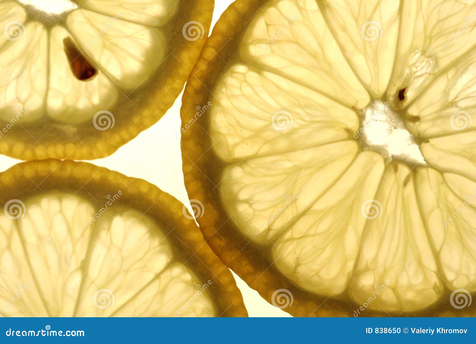 Lemon segments stock photo. Image of fruit, health, vitamin - 838650