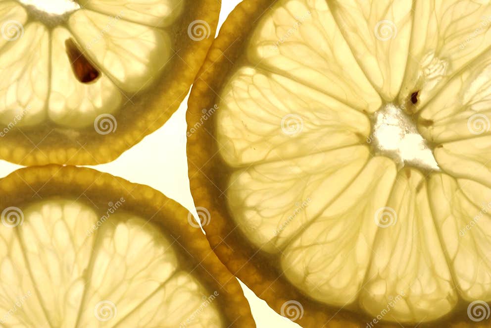 Lemon segments stock photo. Image of fruit, health, vitamin - 838650