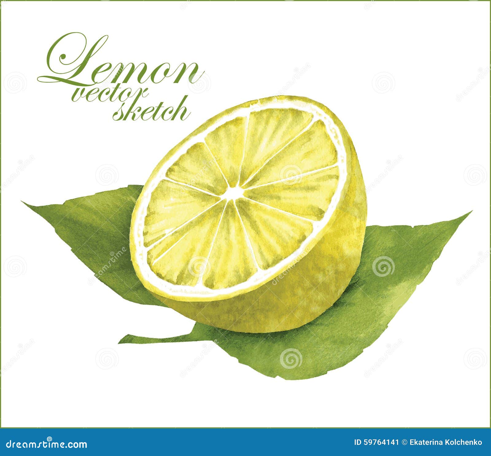 Lemon sketches. stock vector. Illustration of drink, lime - 59764141