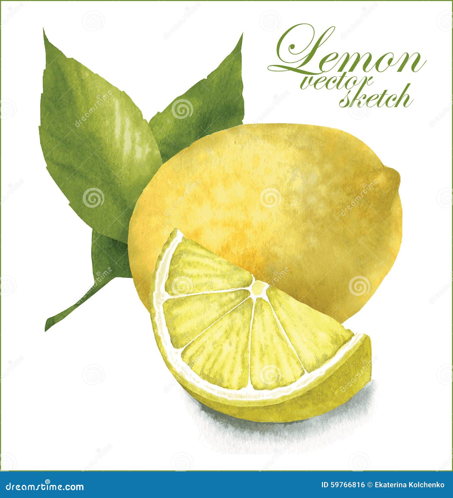Lemon sketches. stock vector. Illustration of citric - 59766816