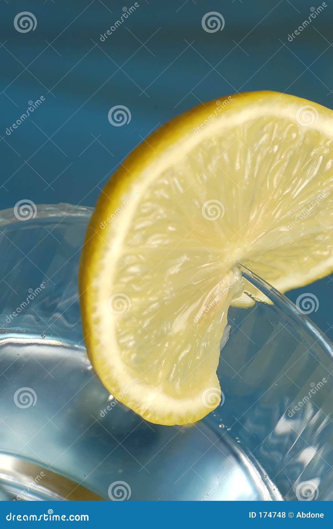 Lemon Slice Picture. Image: 174748