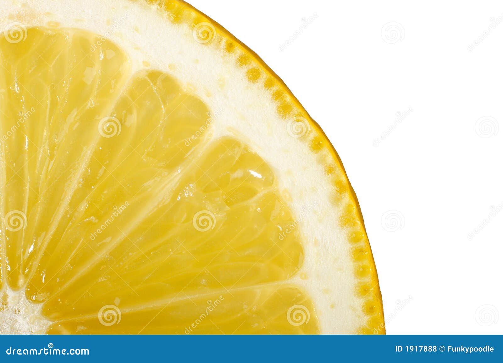 Lemon slice stock photo. Image of concept, juicy, grapefruit - 1917888