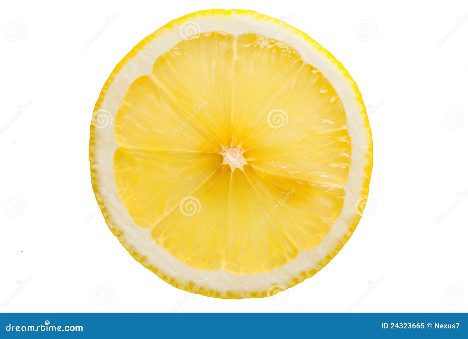 Lemon Slice stock image. Image of natural, acid, organic - 24323665