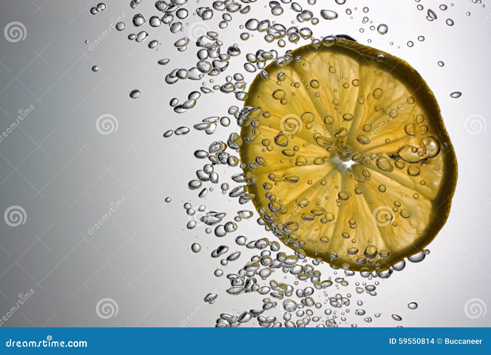 Lemon Slice with Air Bubbles Stock Photo - Image of bubble, copy: 59550814
