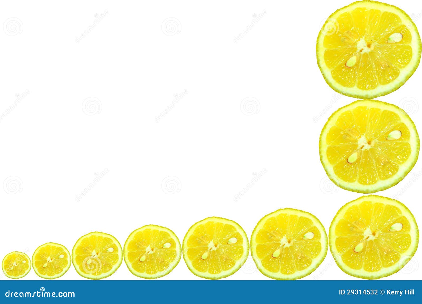 Lemon slice border stock photo. Image of frames, border - 29314532