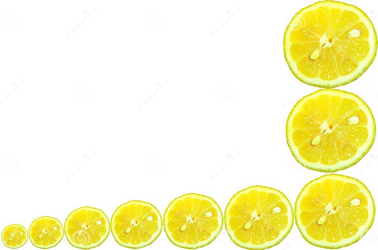 Lemon slice border stock photo. Image of frames, border - 29314532