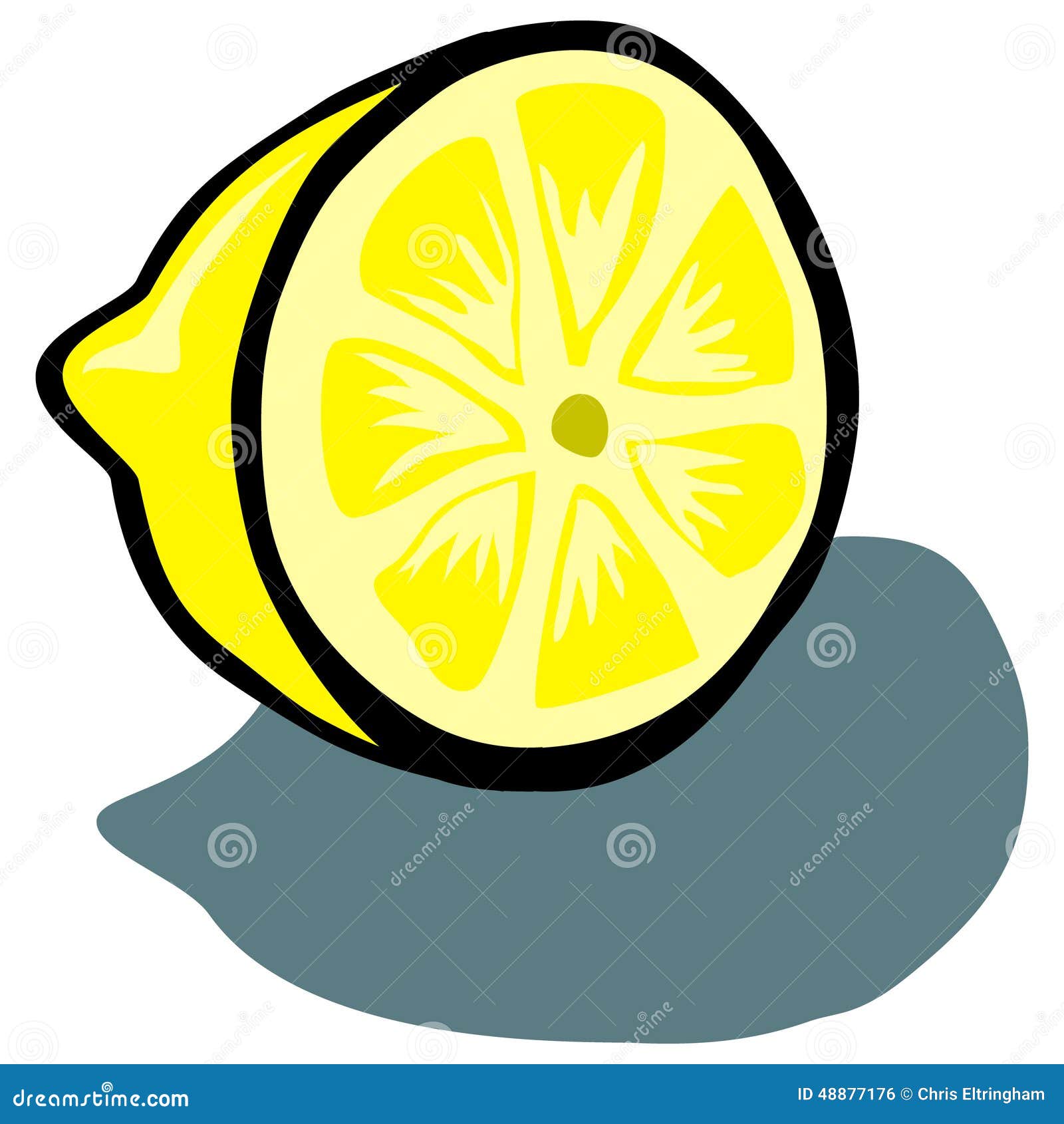 Lemon Slice stock vector. Illustration of vector, delicious - 48877176
