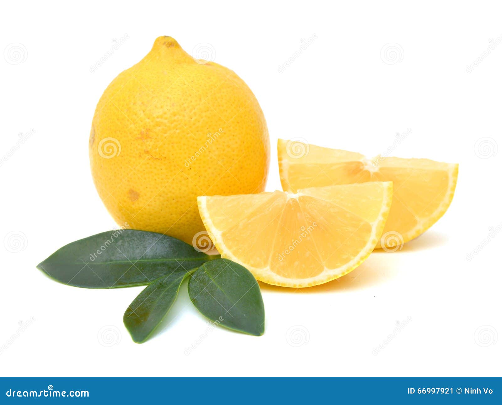 Lemon and slice stock image. Image of cooking, food, refreshing - 66997921