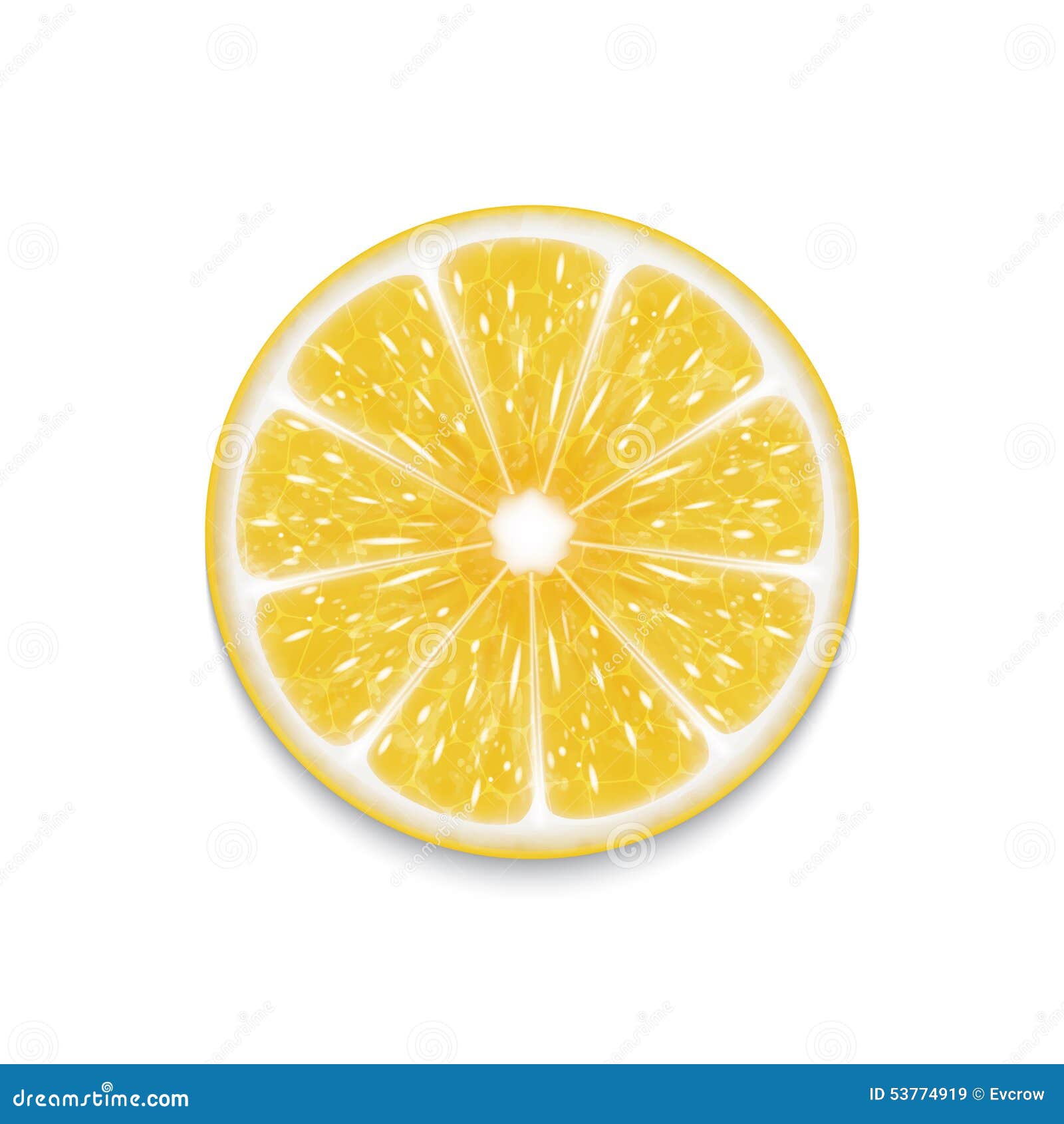 Lemon slice stock vector. Illustration of circle, sour - 53774919