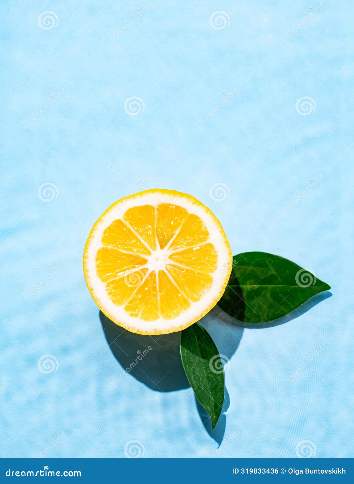 Lemon Slice with Leaves in Water on a Blue Background with Shadow and ...