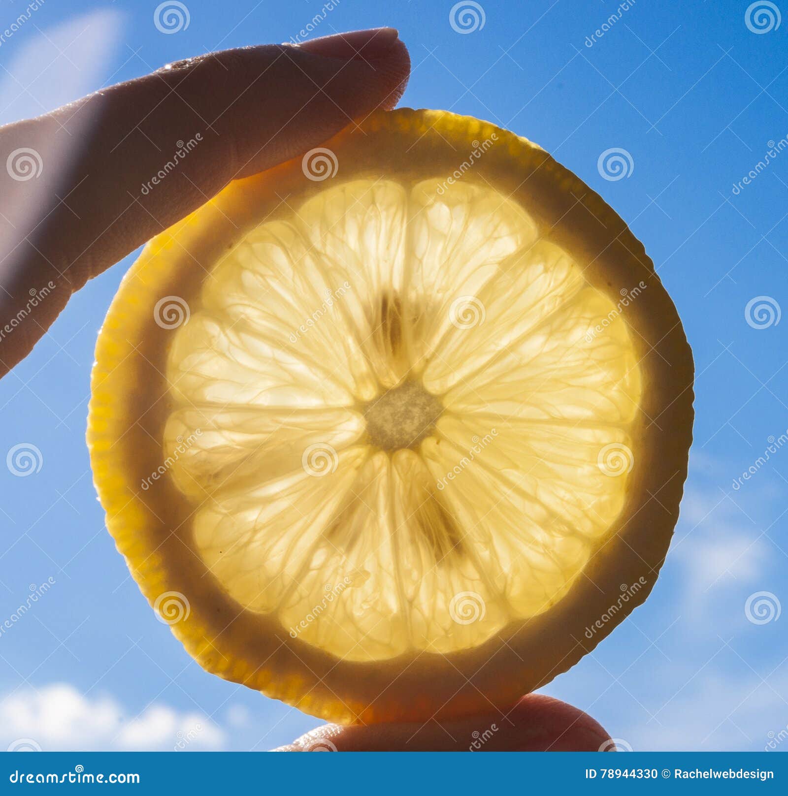 Lemon Slice in the Sun stock photo. Image of healthy - 78944330