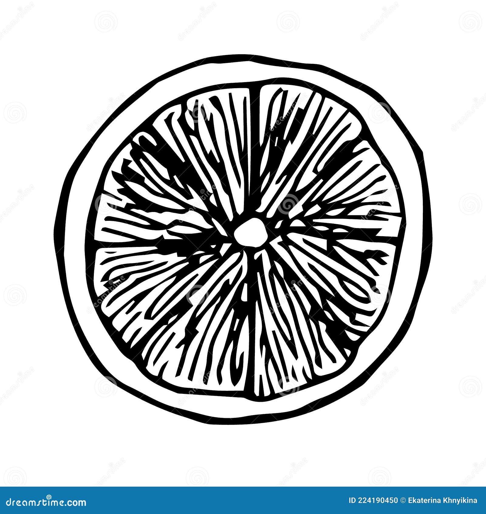 Lemon Slice, Vector Illustration, Hand Drawing Stock Vector ...